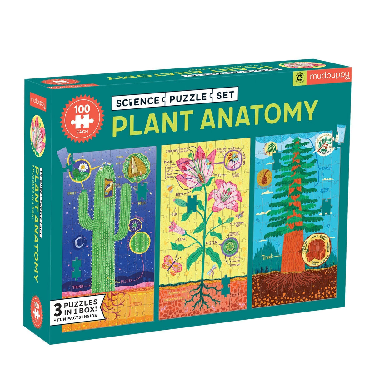 Plant Anatomy Science Puzzle Set - Mudpuppy